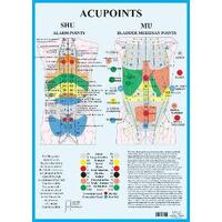 Natural Health Posters & Charts