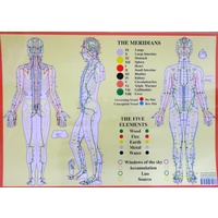 Kinesiology Charts